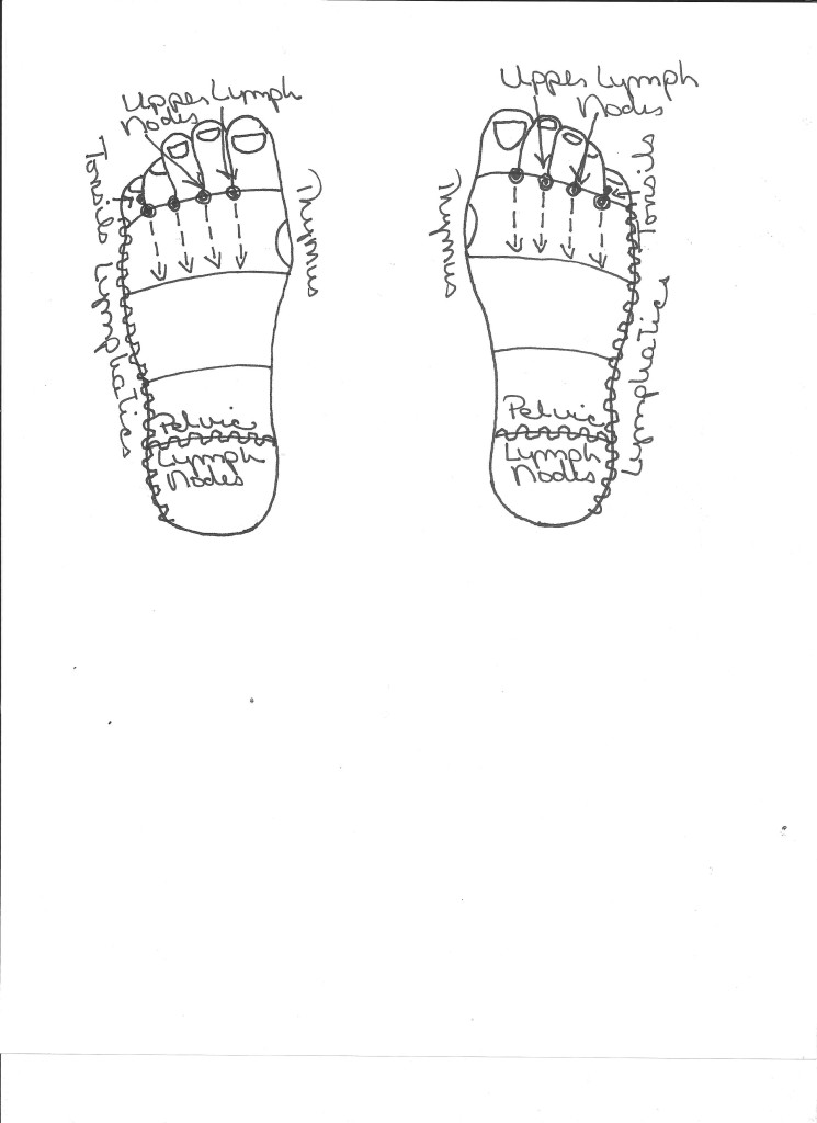 6 Ways the Lymphatic Reflexes Enhance a Reflexology Session ...