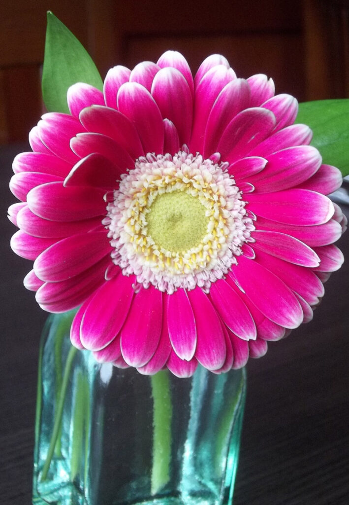 An Asphidity Bag is a Self-Care Health Boost we all Need - Reflexology ...